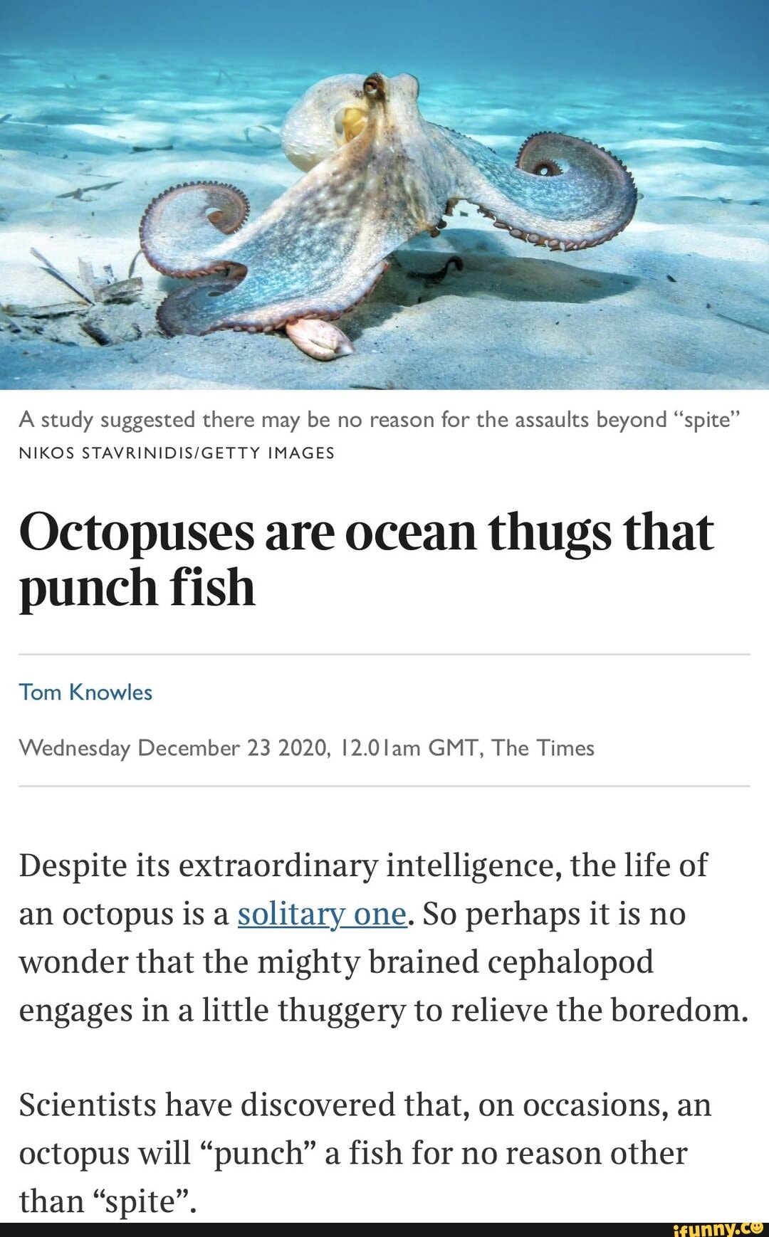 A study suggested there may be no reason for the assaults beyond "spite ...