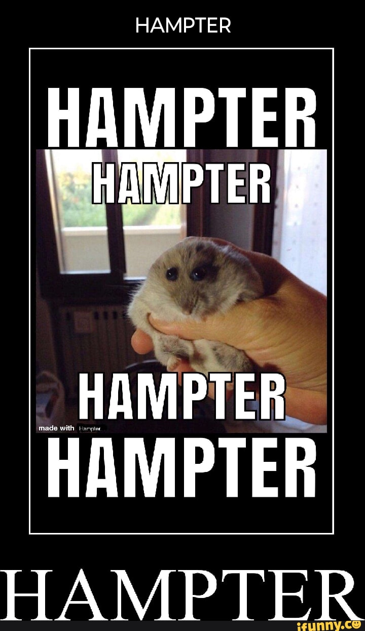 Hampter memes. Best Collection of funny Hampter pictures on iFunny