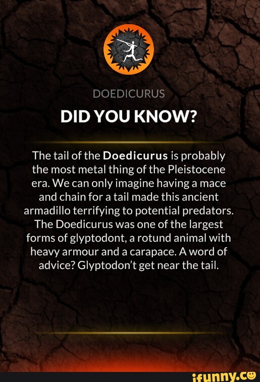 DOEDICURUS DID YOU KNOW? The tail of the Doedicurus is probably the ...