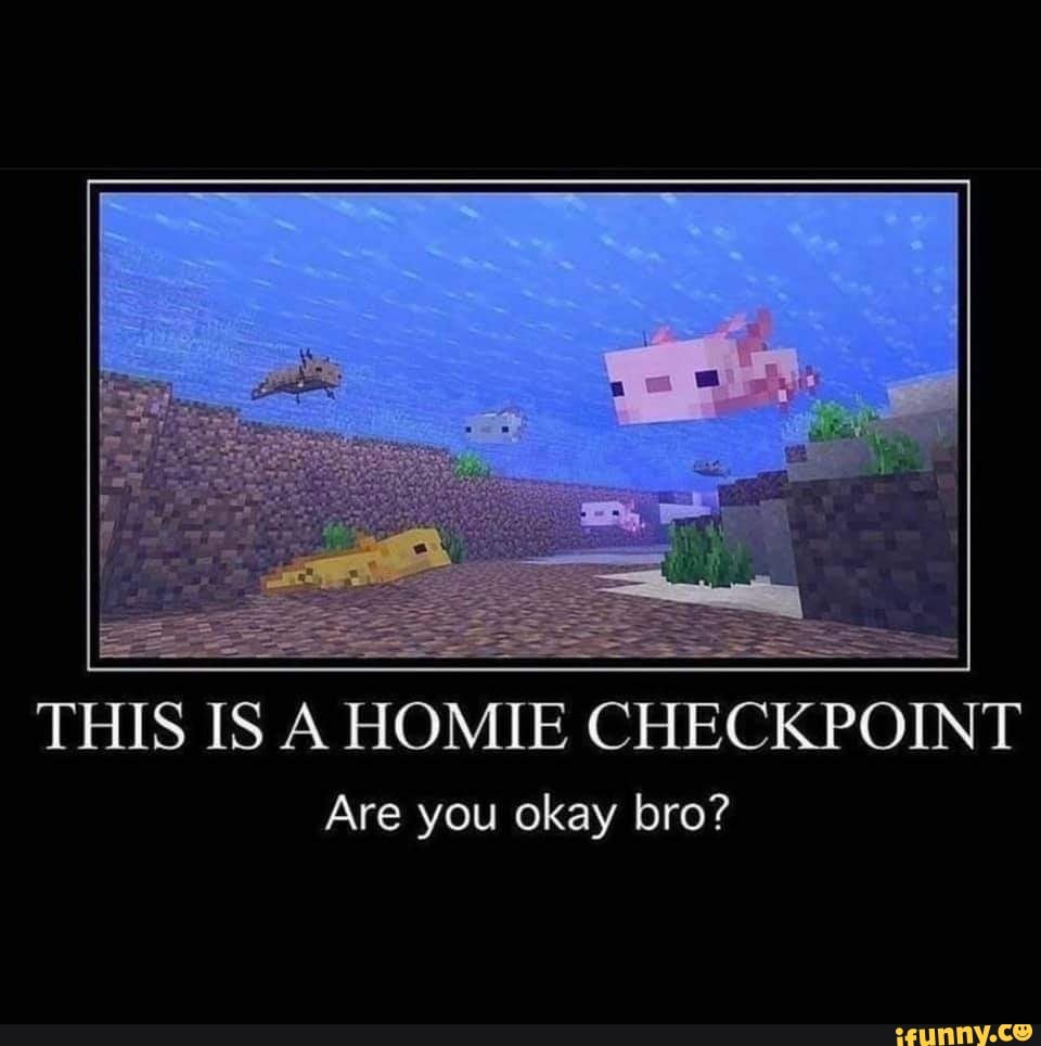 Checkpoint memes. Best Collection of funny Checkpoint pictures on iFunny