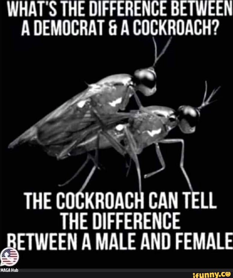 WHAT THE DIFFERENCE BETWEEN A DEMOCRAT & A COCKROACH? THE COCKROACH CAN ...