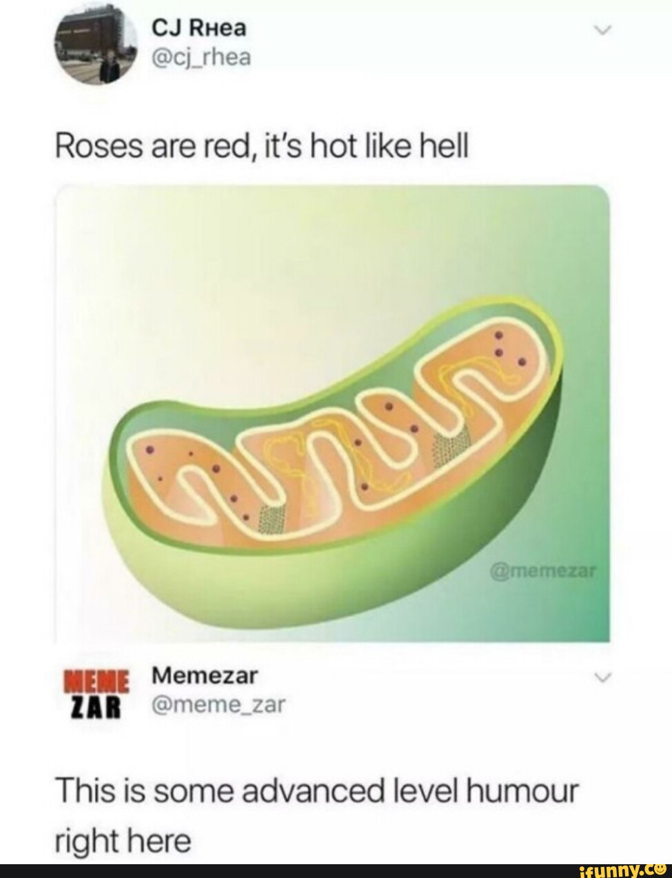 Rhea memes. Best Collection of funny Rhea pictures on iFunny