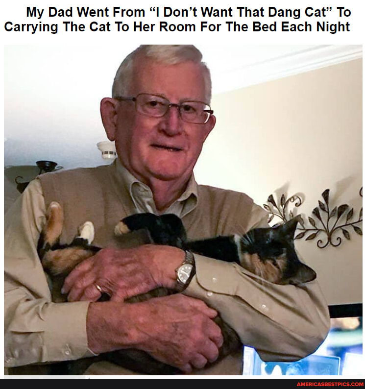 My Dad Went From Don't Want That Dang Cat" To Carrying The Cat To Her ...