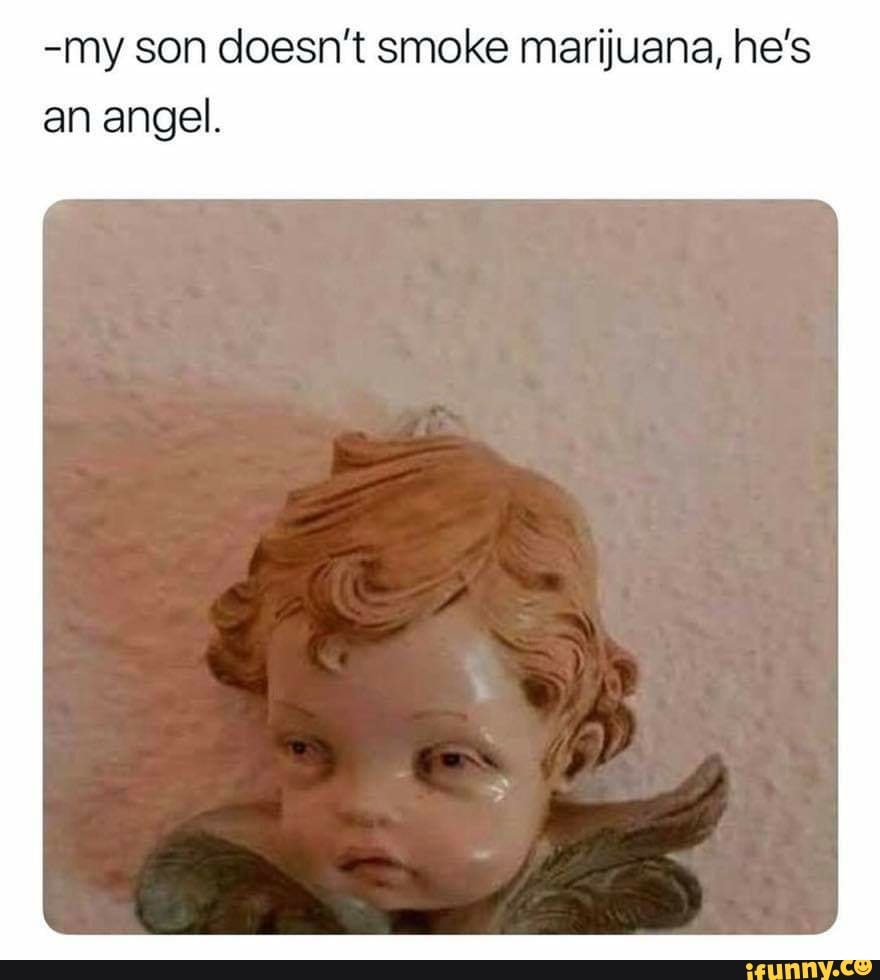 -my son doesn't smoke marijuana, he's an angel. - iFunny