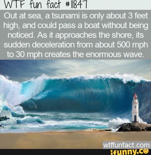 Tsunami memes. Best Collection of funny Tsunami pictures on iFunny