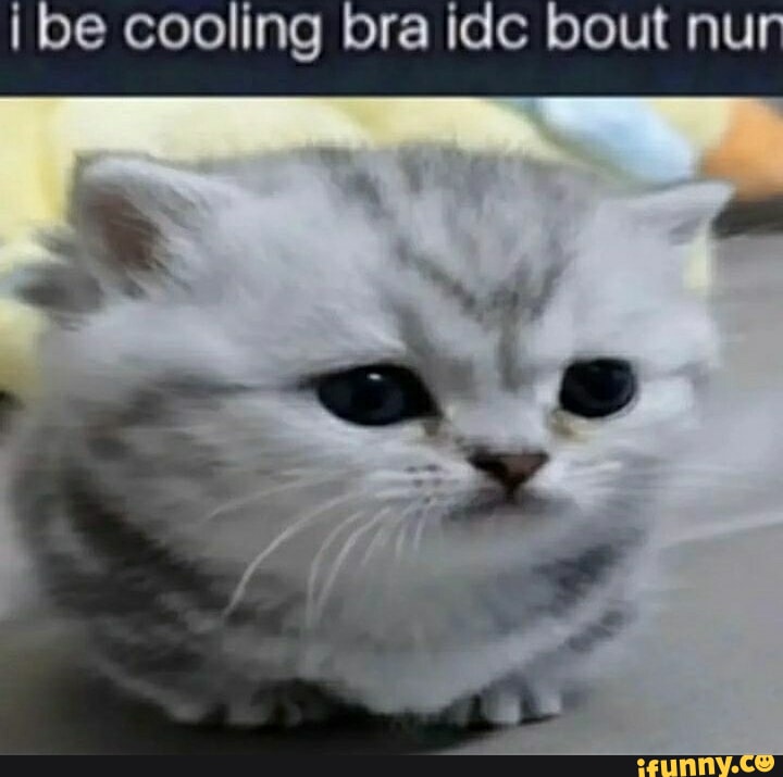 Video memes llCefQiwA by CarlaGarza - iFunny