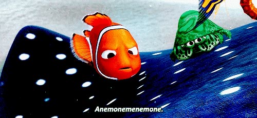 Finding Nemo Anemone Gif