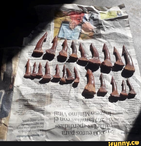 Sawfish memes. Best Collection of funny Sawfish pictures on iFunny