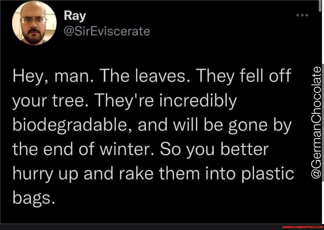 Ray Ay @SirEviscerate Hey, man. The leaves. They fell off your tree ...