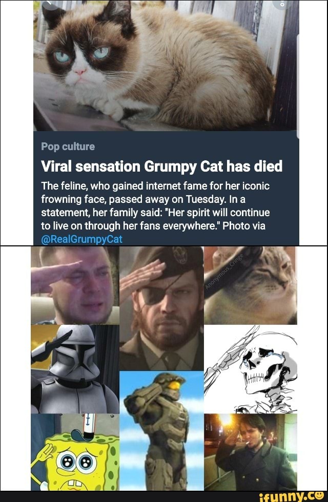 Pop culture Viral sensation Grumpy Cat has died The feline, who gained internet fame for her ...