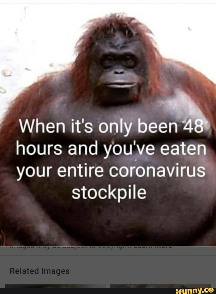 Releted memes. Best Collection of funny Releted pictures on iFunny