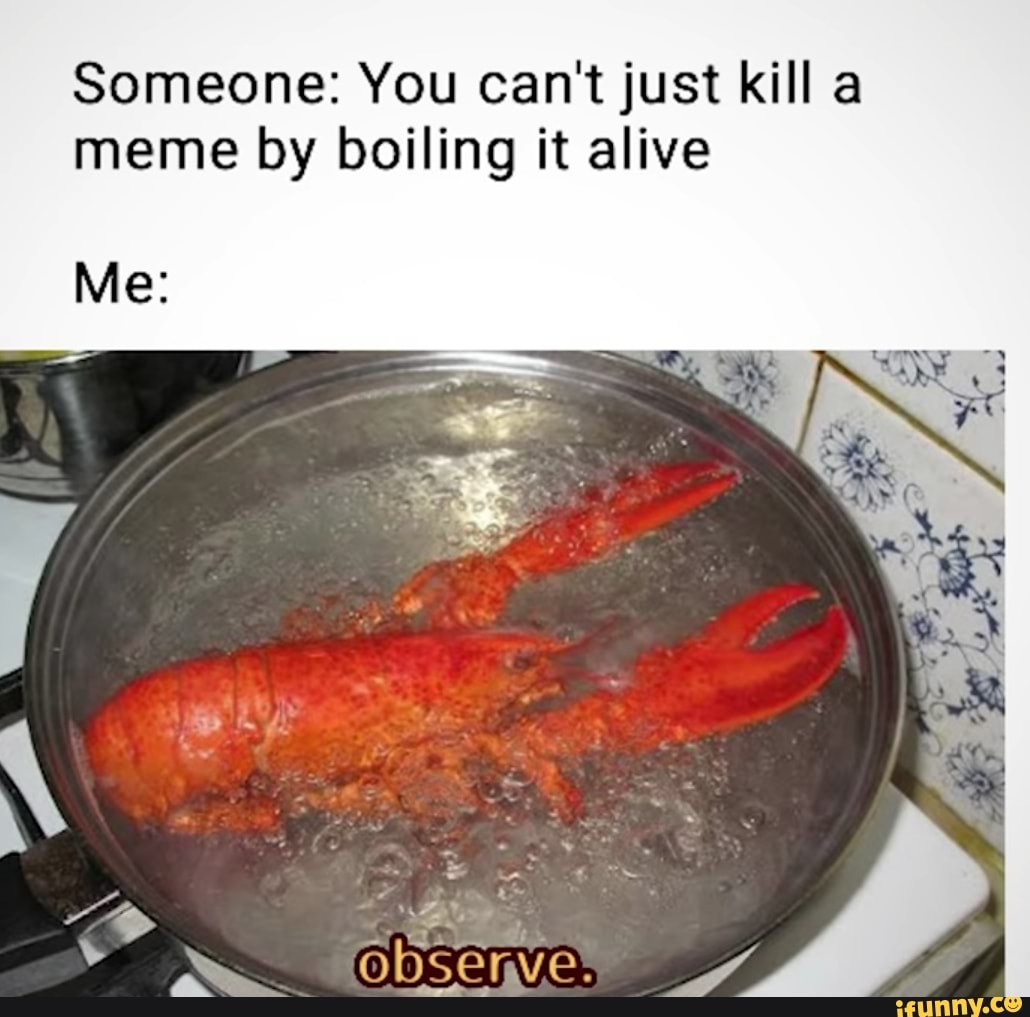 Someone: You can't just kill a meme by boiling it alive Me: - iFunny