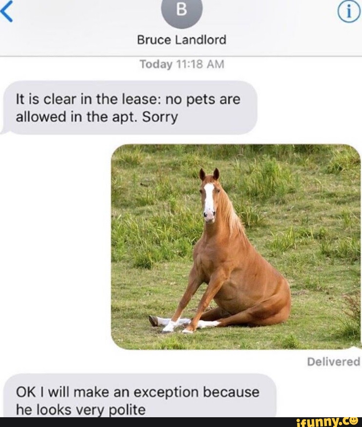 Bruce Landlord Today AM It is clear in the lease: no pets are allowed ...