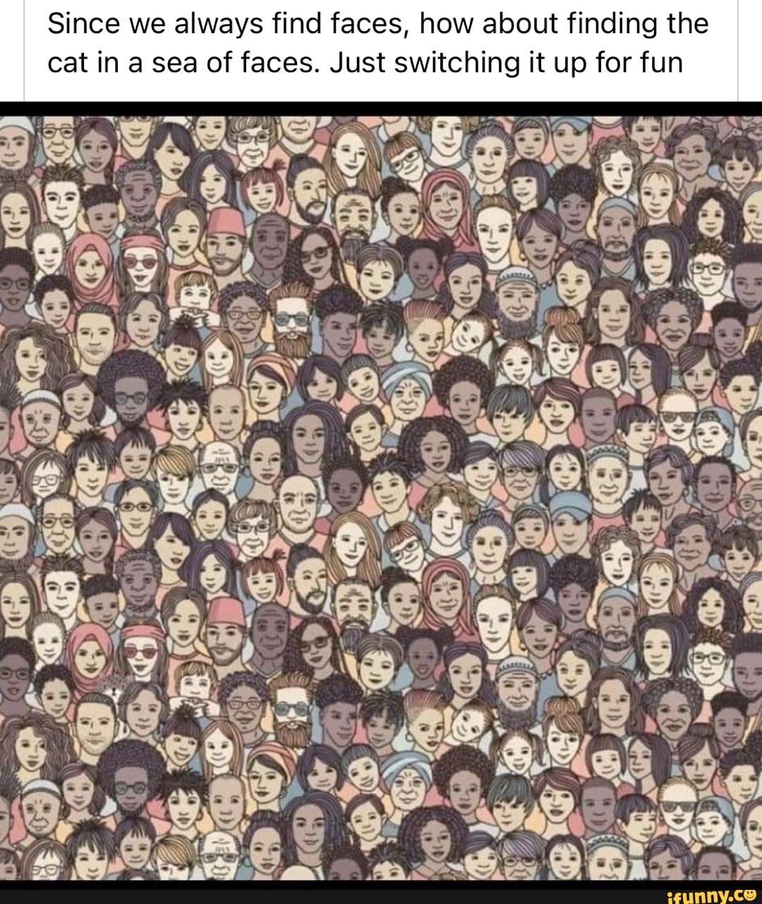 Since we always find faces, how about finding the cat in a sea of faces ...
