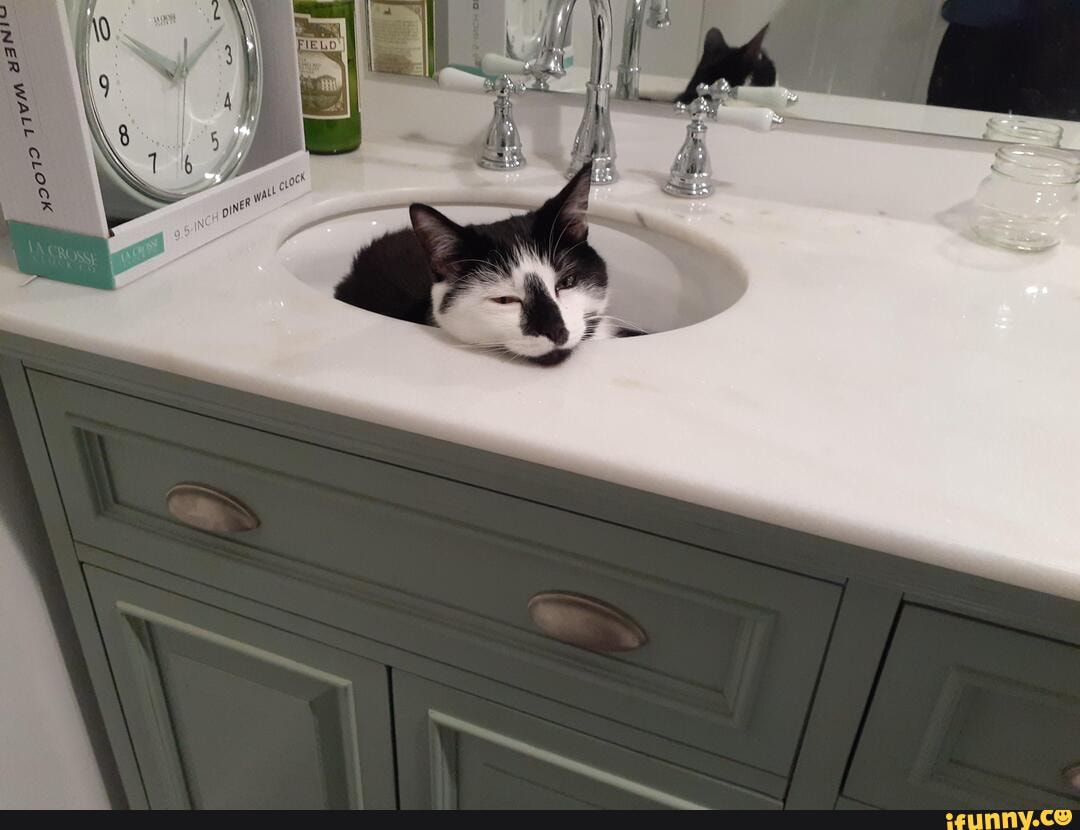 Moops memes. Best Collection of funny Moops pictures on iFunny