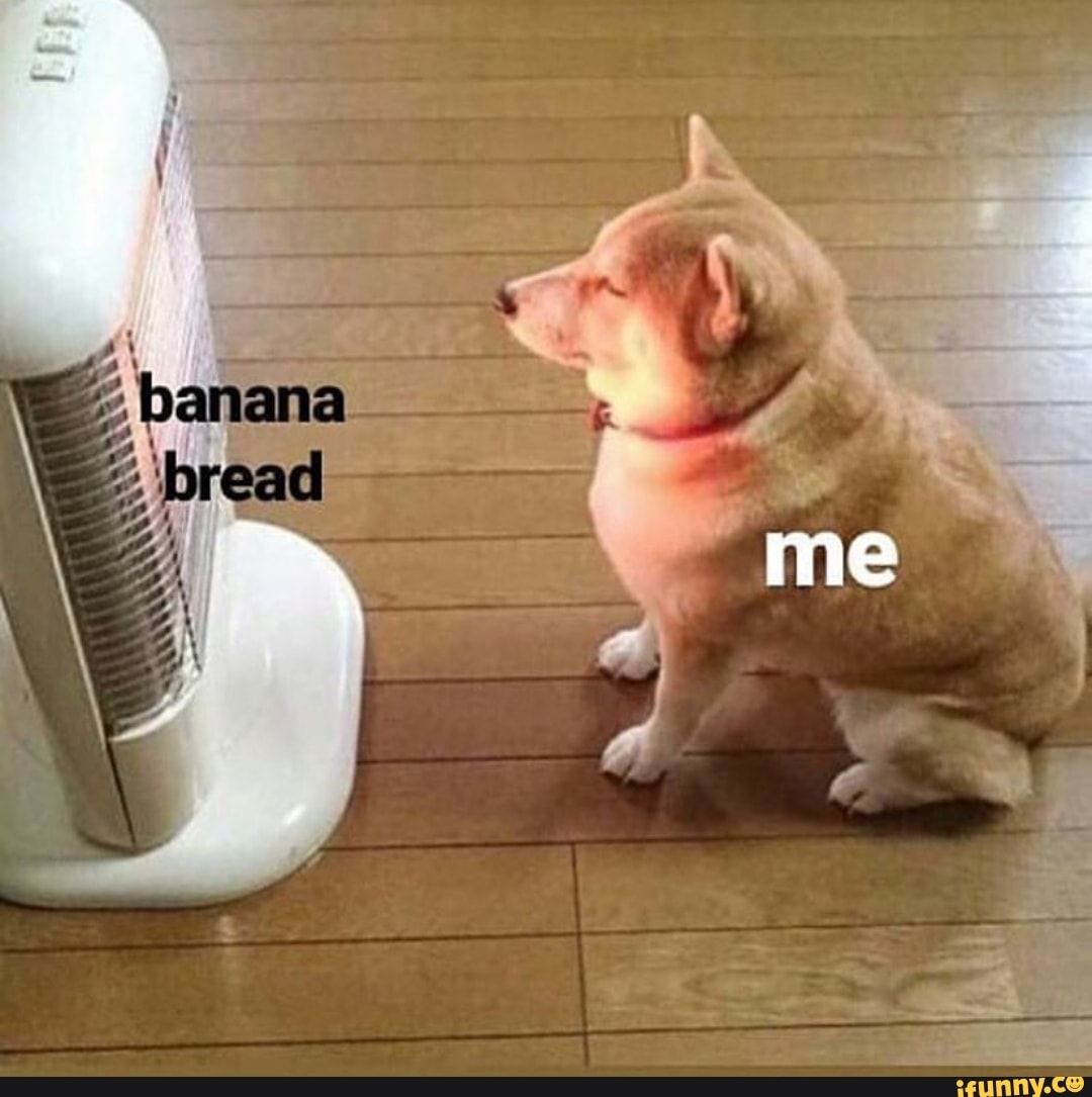 Animedog memes. Best Collection of funny Animedog pictures on iFunny