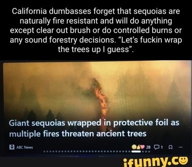 Sequoias memes. Best Collection of funny Sequoias pictures on iFunny