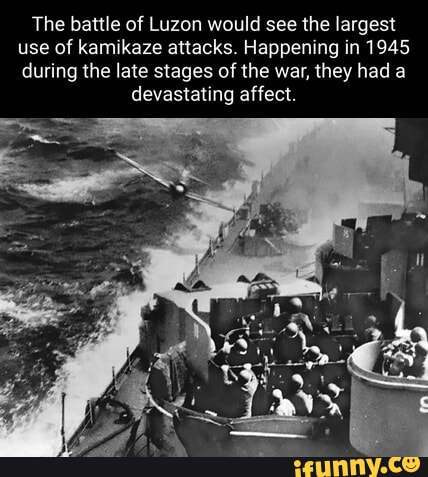 Kamikaze memes. Best Collection of funny Kamikaze pictures on iFunny