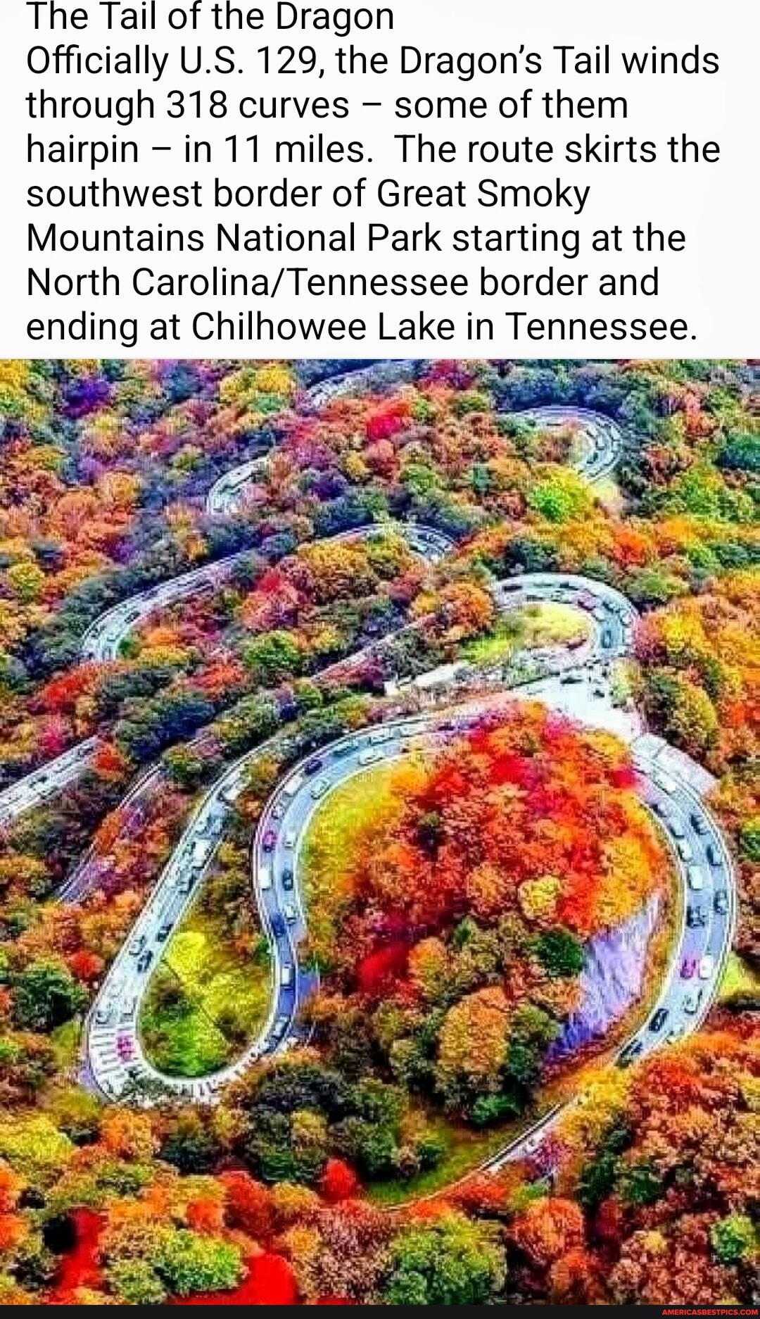 Tine Tail of the Dragon Officially U.S. 129, the Dragon's Tail winds ...