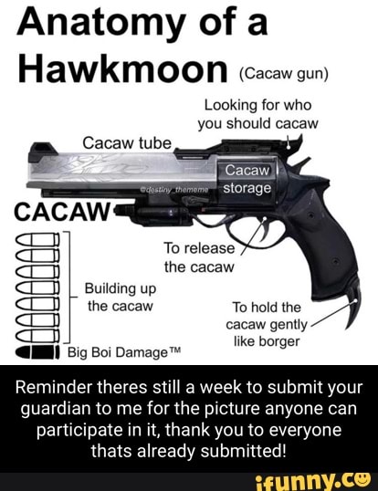 Anatomy of a HAW czcaw cun) Cacaw tube: Looking for who you should ...