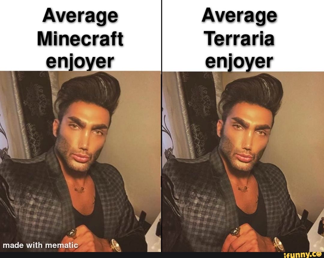 Average Average Terraria Minecraft enjoyer enjoyer - iFunny