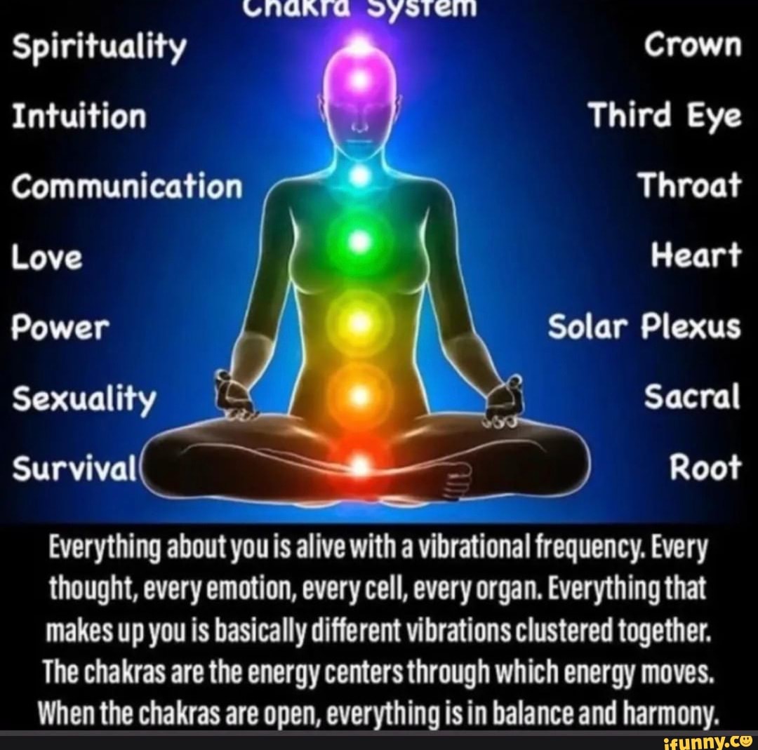 Plexus memes. Best Collection of funny Plexus pictures on iFunny