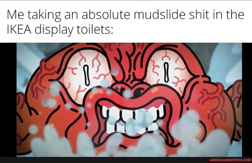 Me taking an absolute mudslide shit in the IKEA display toilets ...