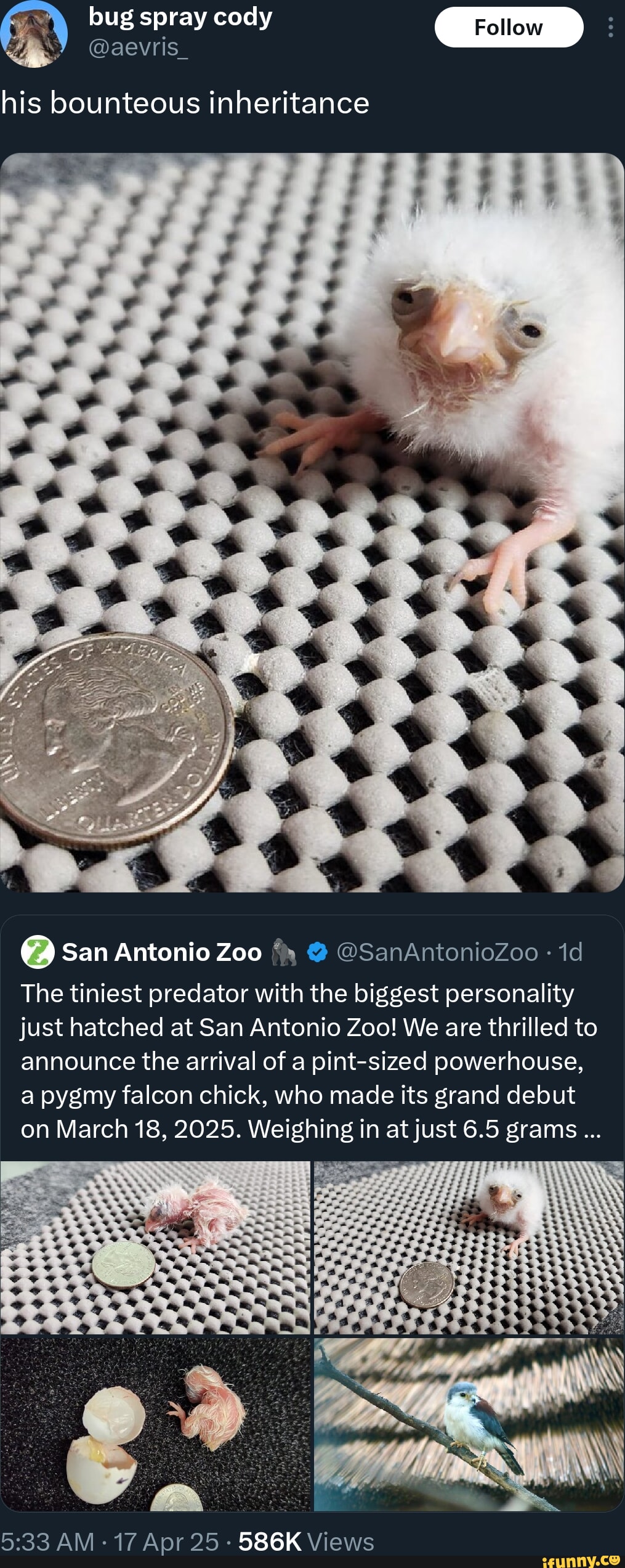 Bug spray cody @aevris_ Op his bounteous inheritance @ San Antonio Zoo @ @SanAntonioZoo The ...