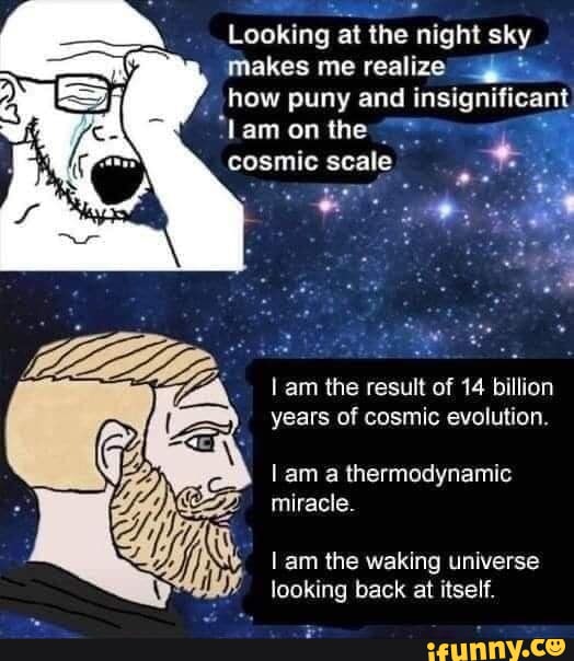 Thermodynamic memes. Best Collection of funny Thermodynamic pictures on ...