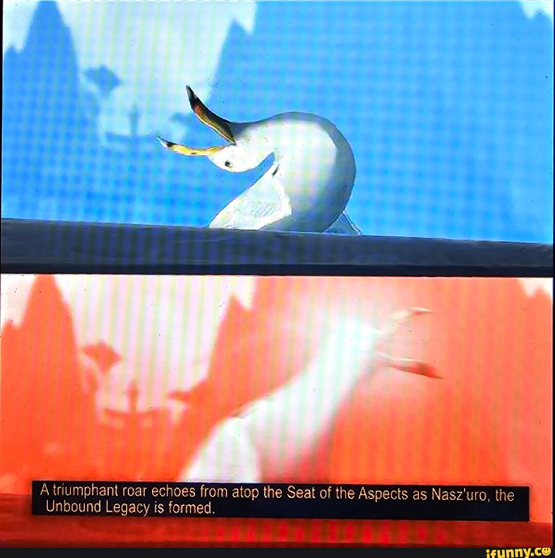 Unbound memes. Best Collection of funny Unbound pictures on iFunny