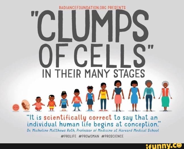 PRESENTS CLUMPS LS IN THEIR MANY STAGES "It is scientifically correct ...
