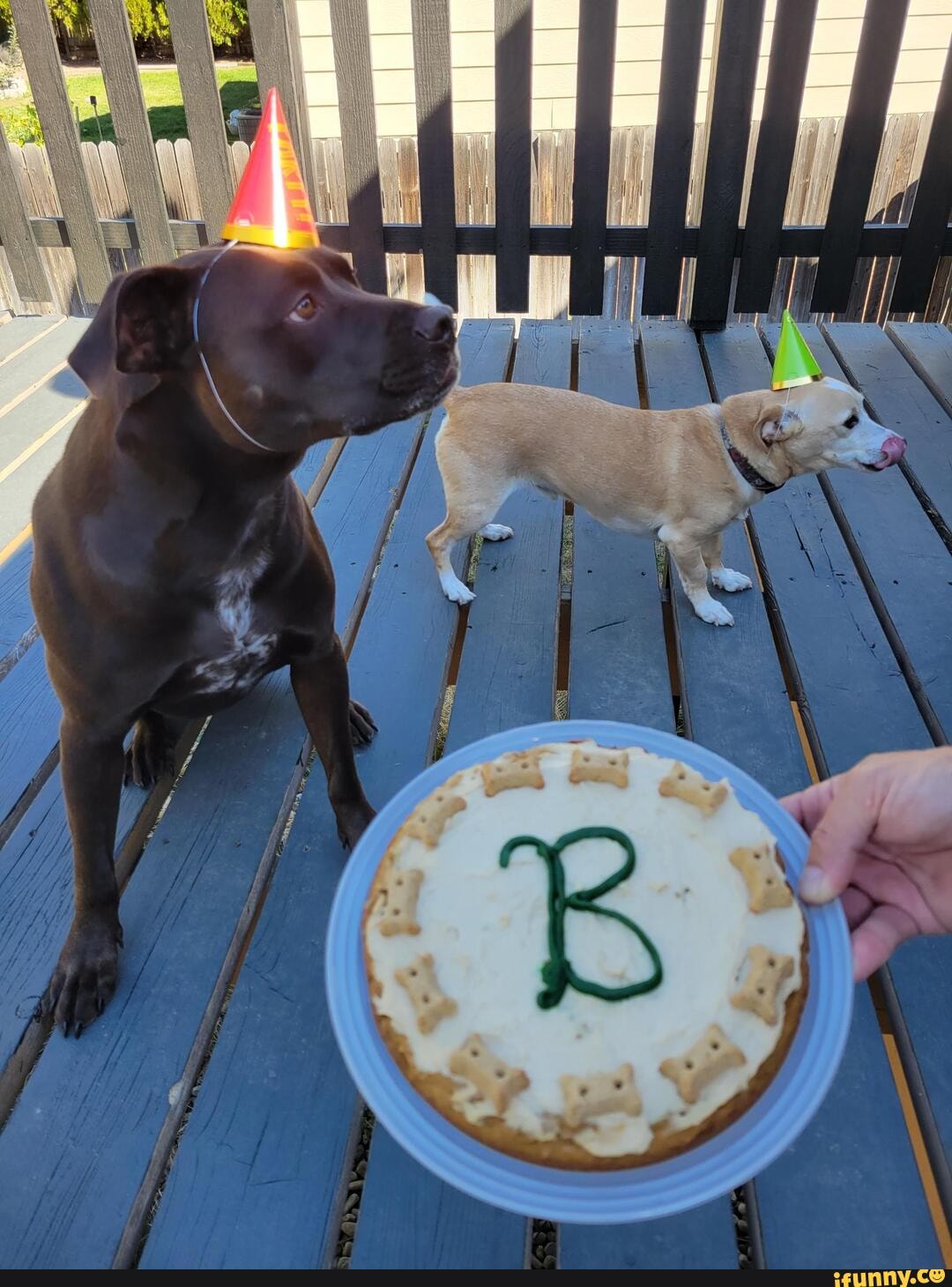 The_cake_is_not_a_lie memes. Best Collection of funny The_cake_is_not_a ...