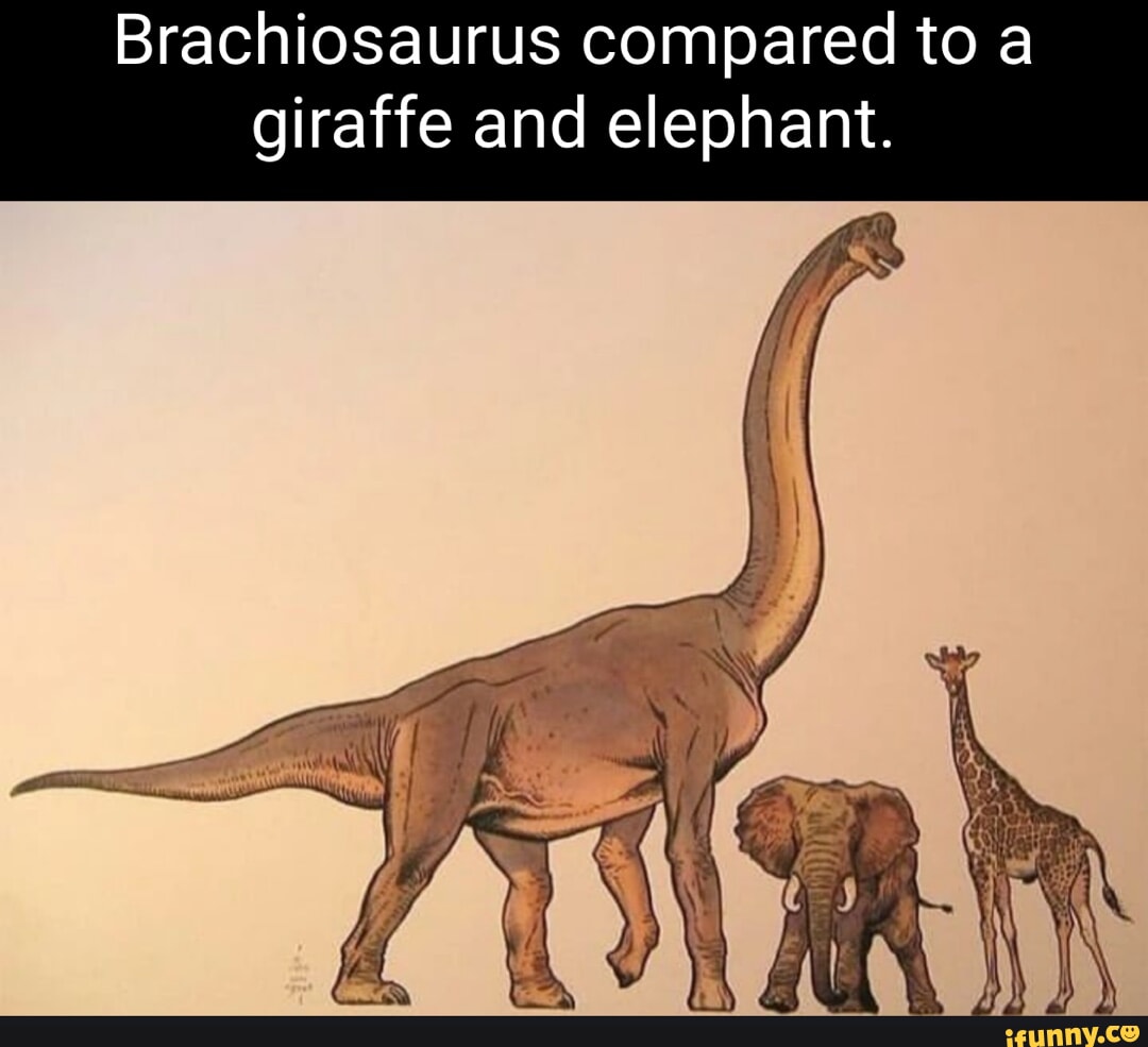 Brachiosaurus memes. Best Collection of funny Brachiosaurus pictures on ...