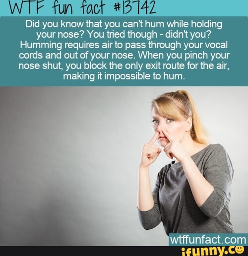 Humming memes. Best Collection of funny Humming pictures on iFunny