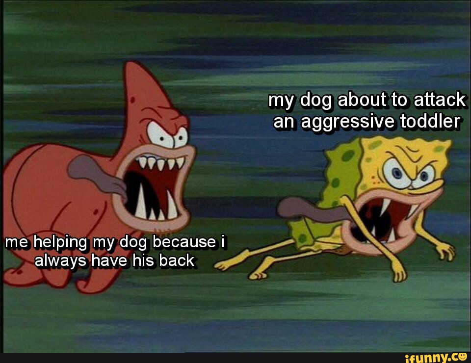 Gang gang yes yes yes ice cream yum yum slurp - my dog about to attack ...