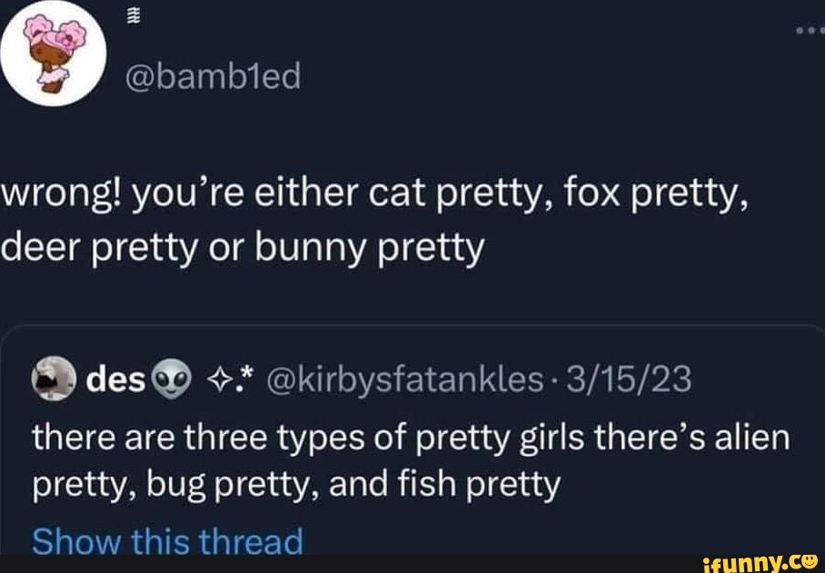 @bambied wrong! you're either cat pretty, fox pretty, deer pretty or ...