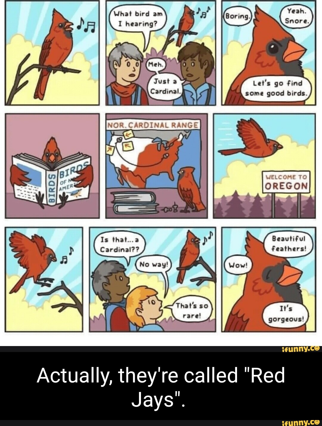 NOR. CARDINAL RANGE, bird heariag? Goring, Actually, they're cal Jays ...