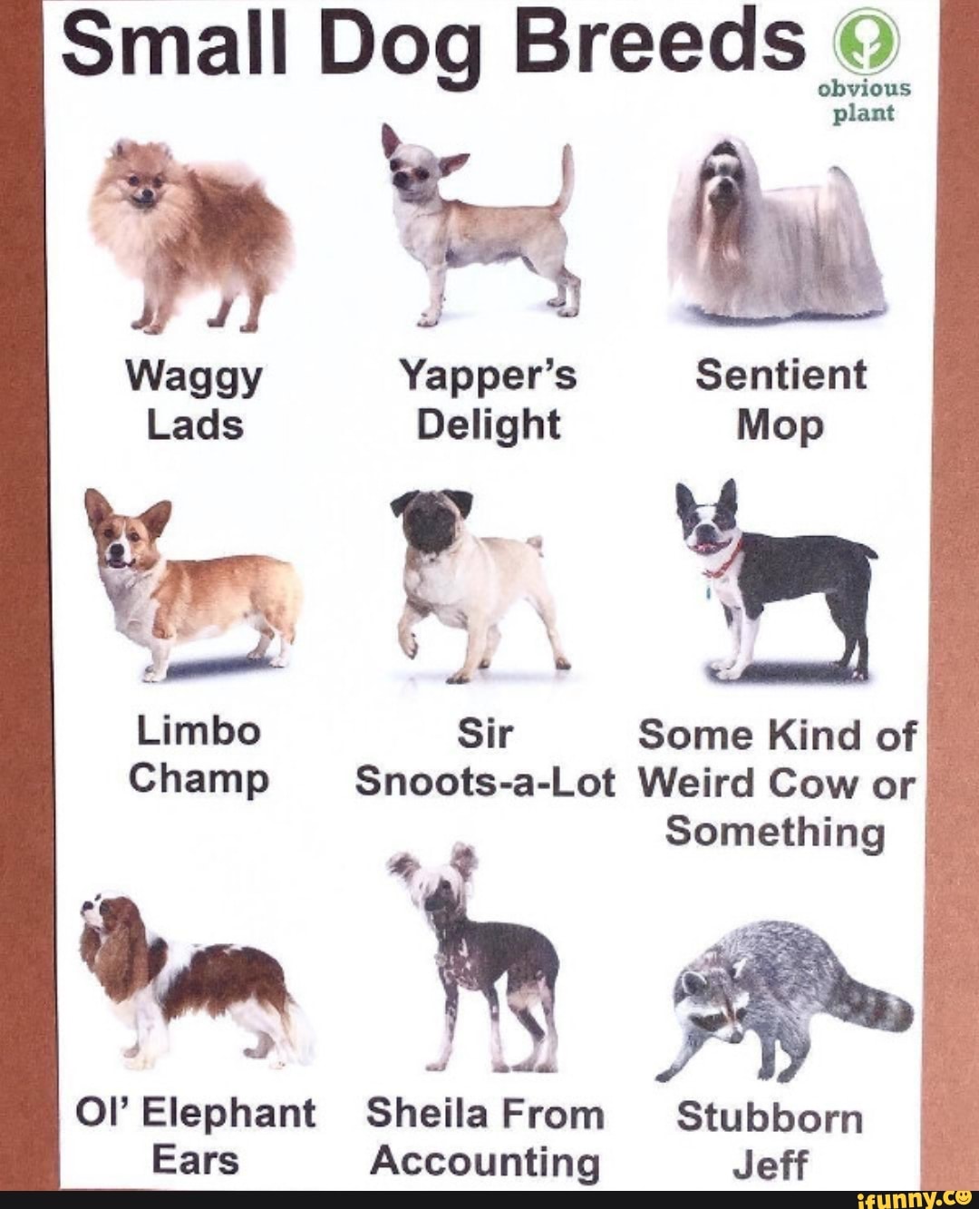 Yappers memes. Best Collection of funny Yappers pictures on iFunny