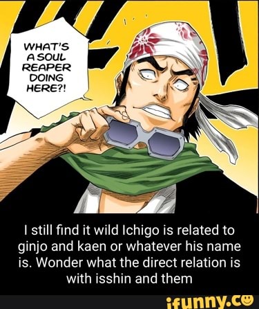 Isshin memes. Best Collection of funny Isshin pictures on iFunny