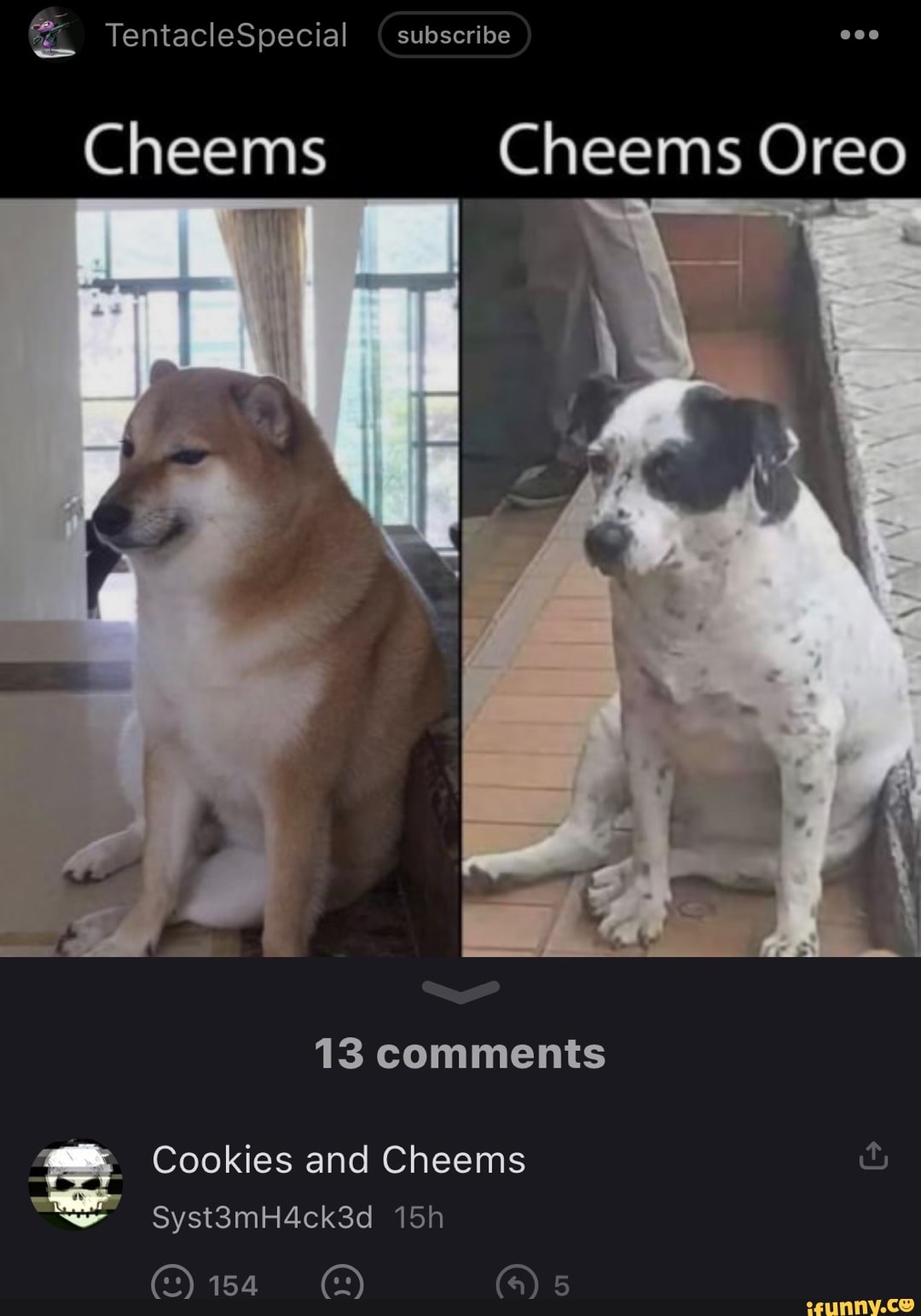 TentacleSpecial (subscribe eco Cheems Cheems Oreo 13 comments Cookies and Cheems Syst3mH4ck3d ...