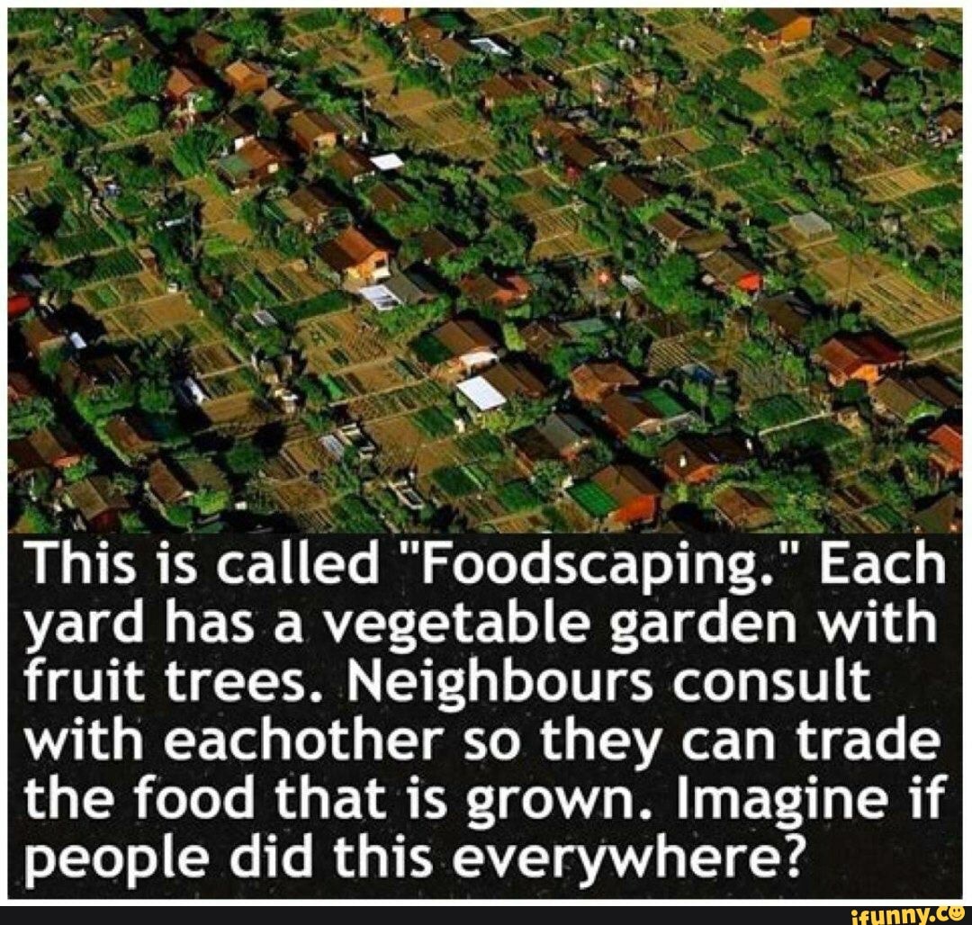 Foodscaping memes. Best Collection of funny Foodscaping pictures on iFunny