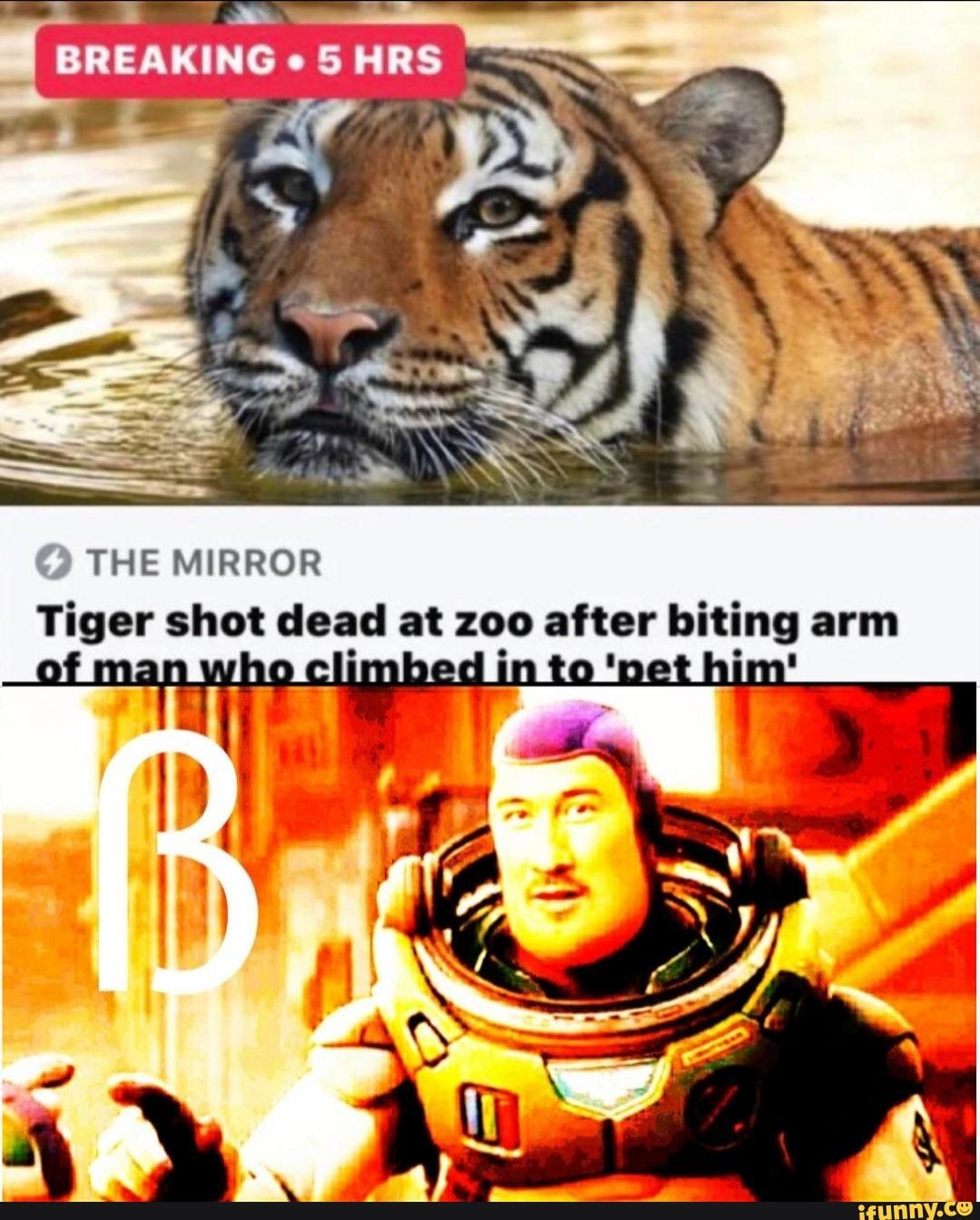 SSßßß memes. Best Collection of funny SSßßß pictures on iFunny