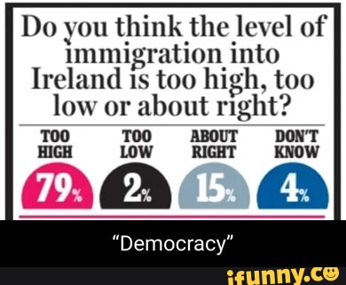 Do you think the level of immigration into Ireland is too high, too low ...