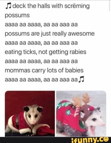 Deck the halls with seaming possums aaaa aa aaaa, aa aa aaa aa possums ...