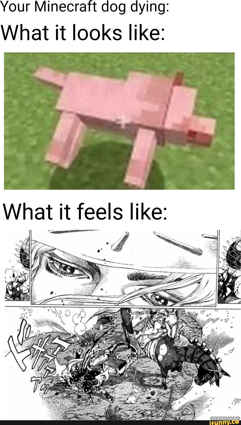 Your Minecraft dog dying: What it looks like: What it feels like: - iFunny