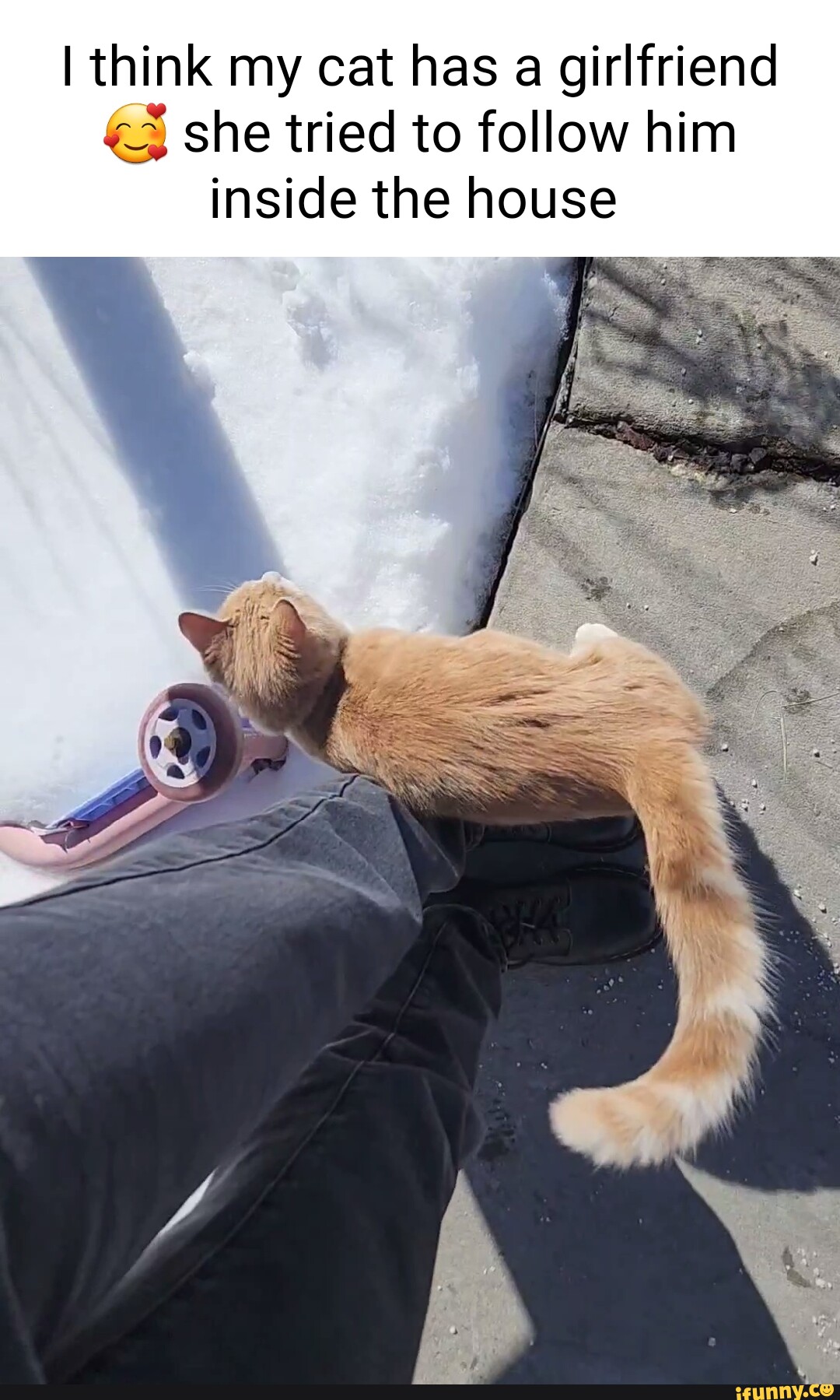 I think my cat has a girlfriend she tried to follow him inside the ...