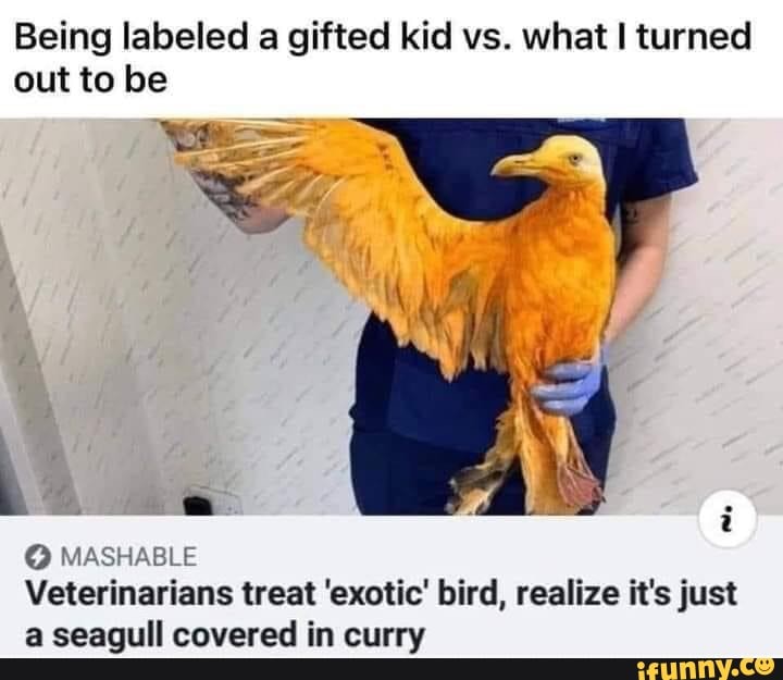 Being Labeled A Gifted Kid Vs What I Turned Out To Be MASHABLE being-labeled-a-gifted-kid-vs-what-i-turned-out-to-be-mashable