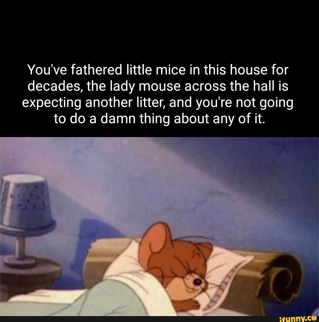 You've fathered little mice in this house for decades, the lady mouse ...