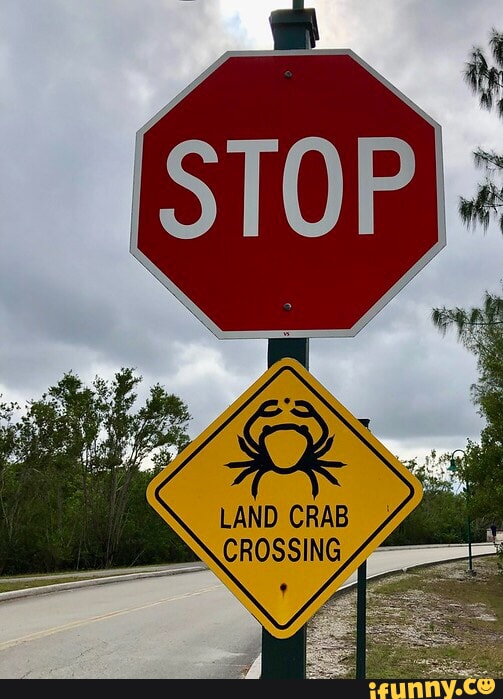 Stopsign memes. Best Collection of funny Stopsign pictures on iFunny