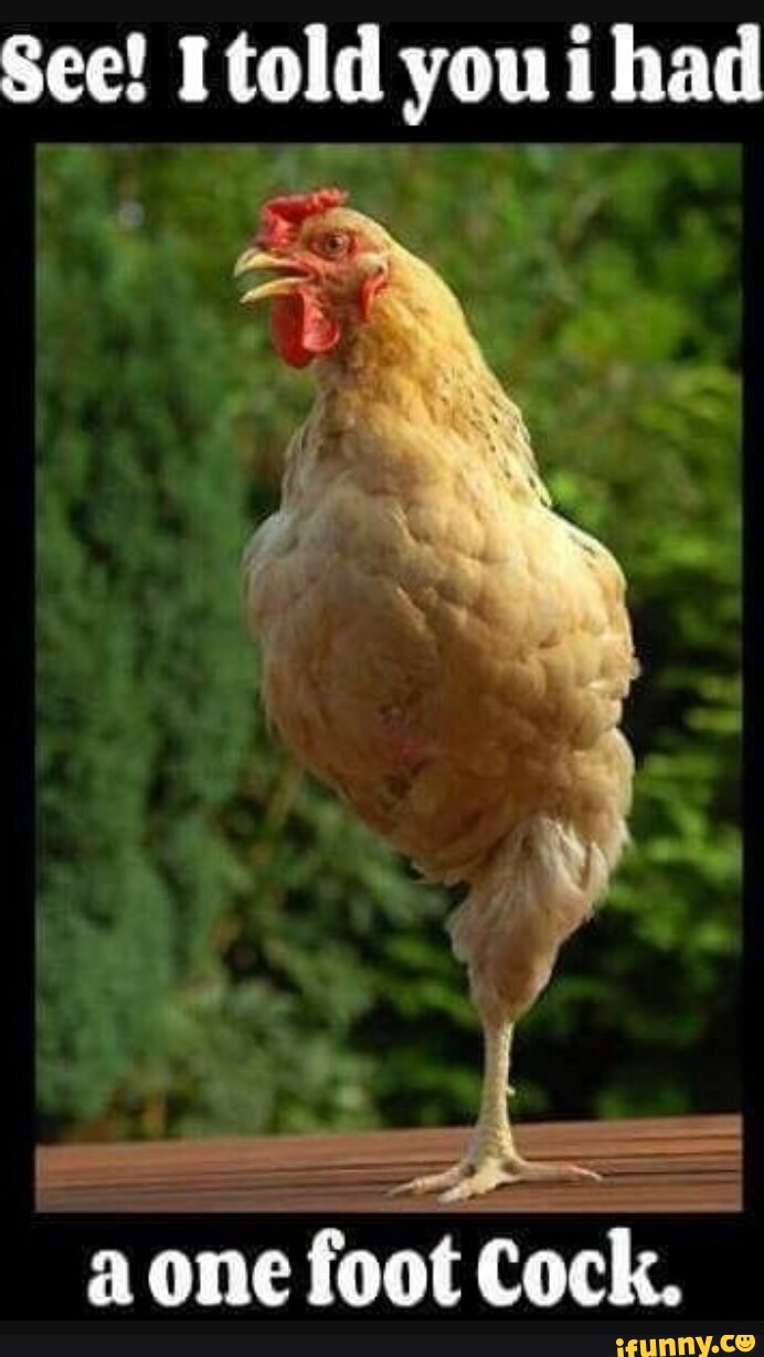 See! I told you had a one foot Cock. - iFunny